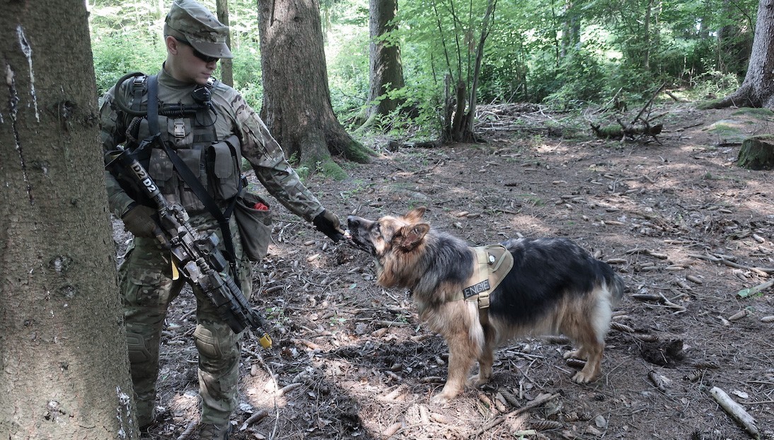 Jaké je to být K-9 Unit | ARMYWEB.cz